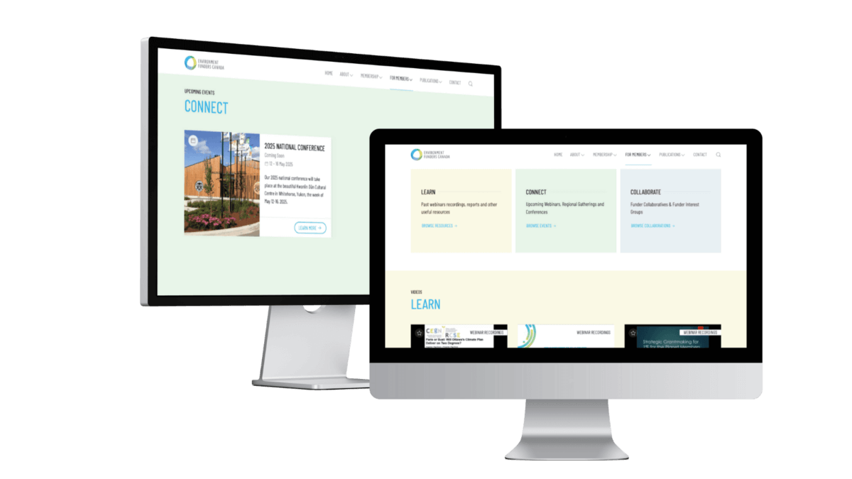 Web Dev and Wordpress Development Services | Third Wunder