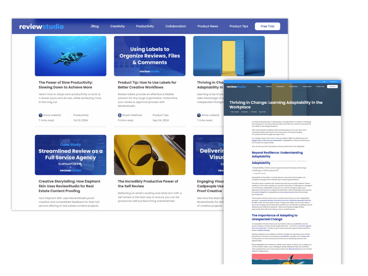 Review Studio | Third Wunder